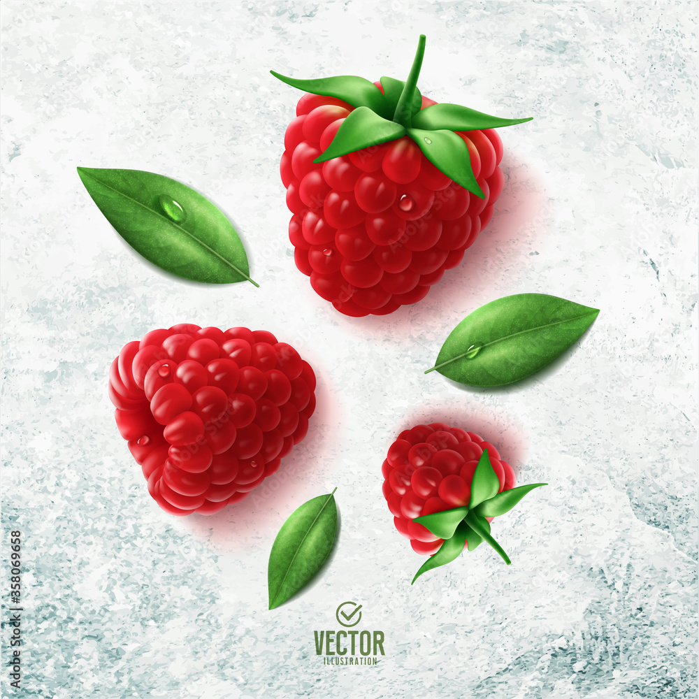 Vector realistic raspberry illustration on white stone background Stock ...