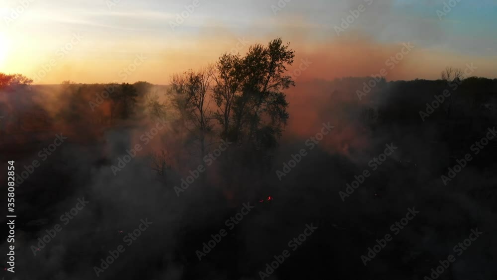 Air pollution caused by fire on a landfill. Deforestation of rainforest ...
