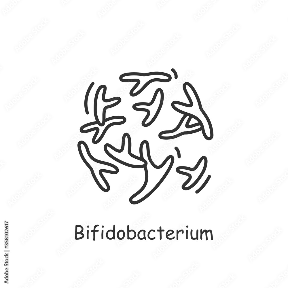 Bifidobacterium bifidum icon. Good probiotic for human health sign ...