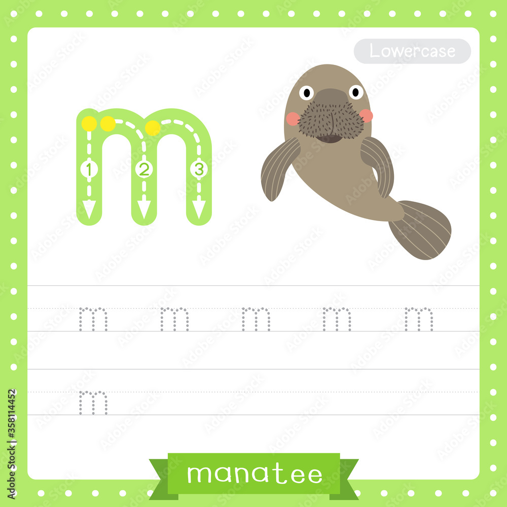 Letter M lowercase tracing practice worksheet of Manatee Stock Vector ... Letter M lowercase tracing practice worksheet of Manatee Stock Vector ...