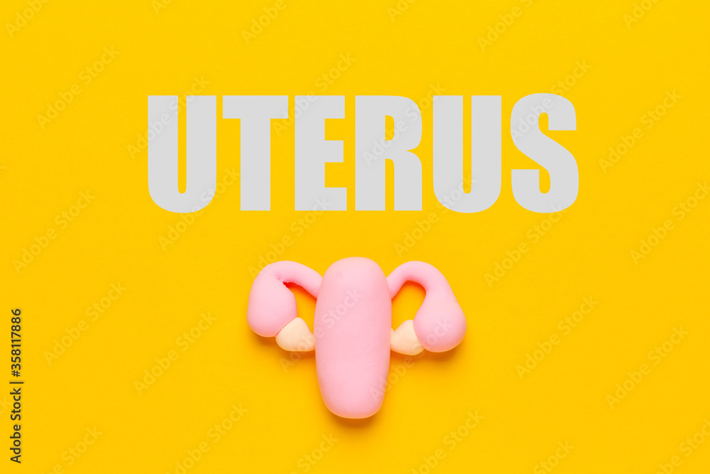 Female uterus on yellow background. Gynecological examination ...