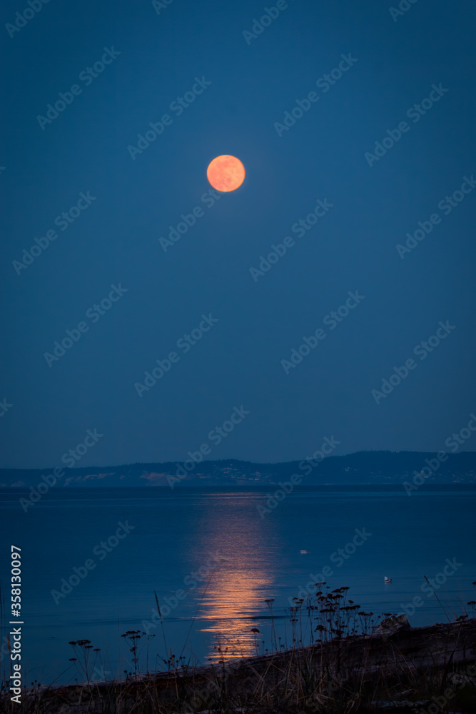 Super moon called the Pink Moon was the largest supermoon of 2020 ...