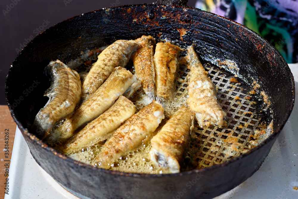 Frying Gobius sobitis (goby fish) in a pan. Cooking fried fish in a pan ...