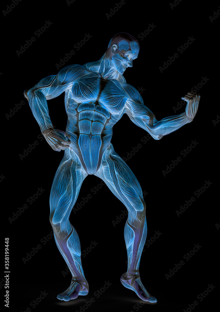 muscleman anatomy heroic body doing a bodybuilder pose six in white ...