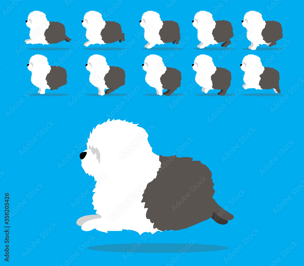 Animal Animation Sequence Dog Old English Sheepdog Cartoon Vector Stock ...