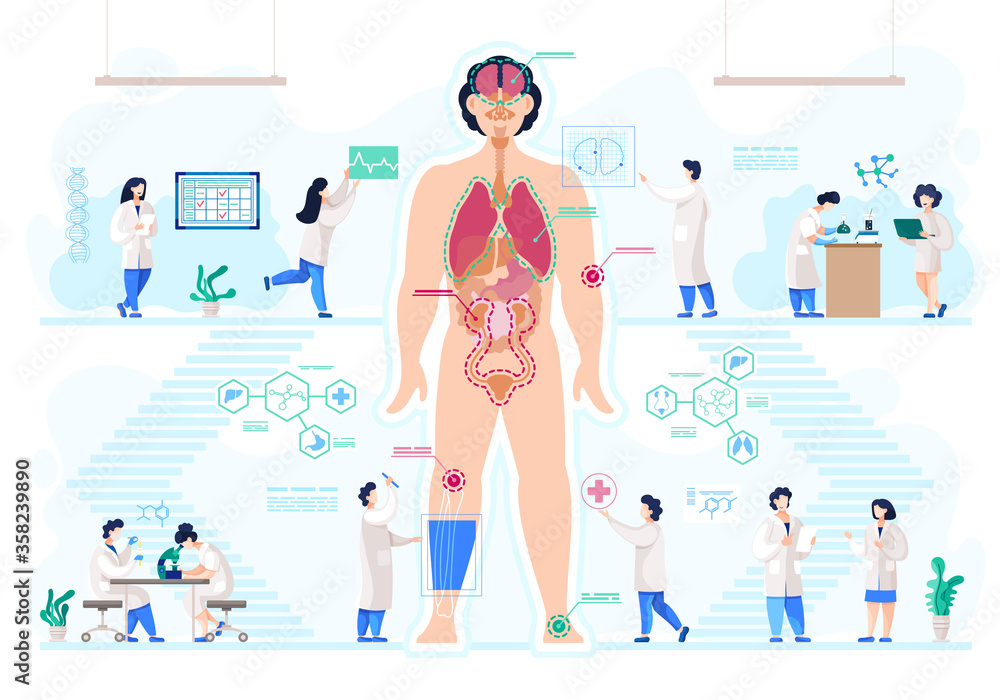 Growing body parts in medical laboratory, doctors and scientists vector ...