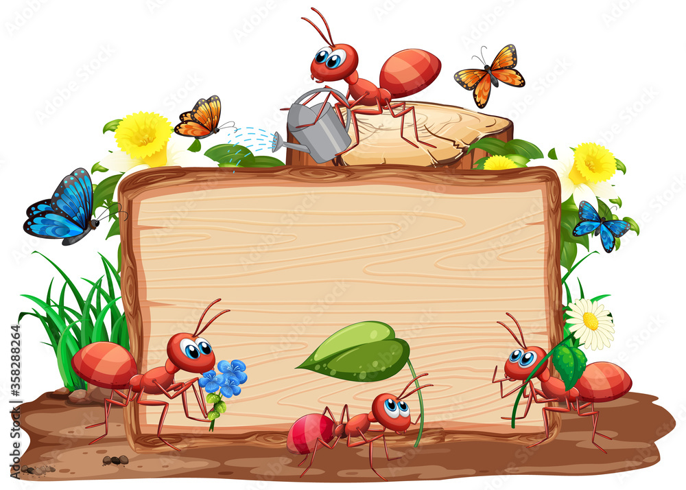 Insects Border