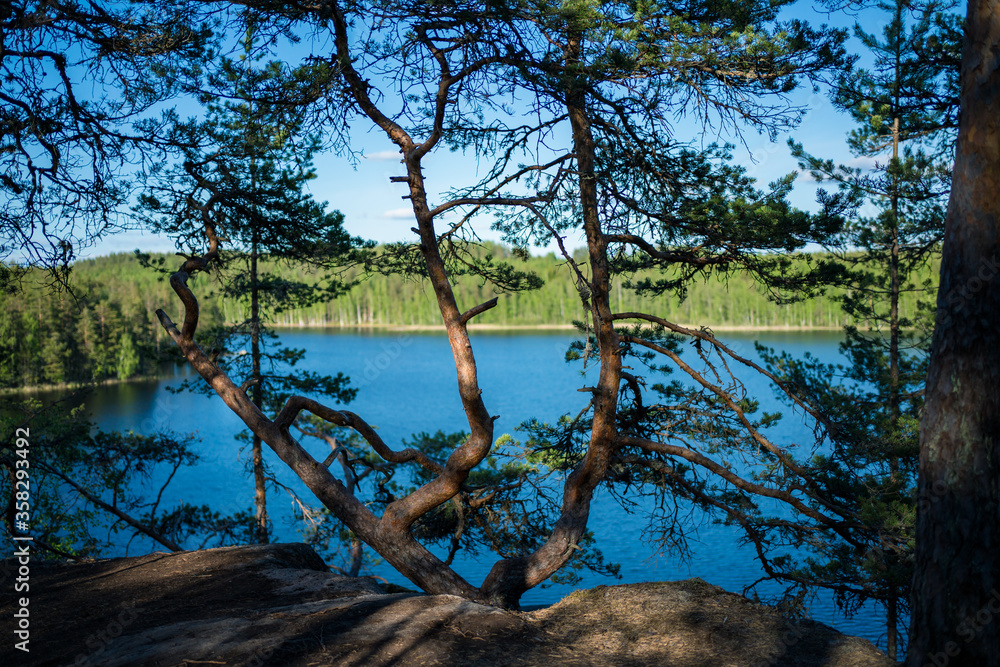 nature Stock Photo | Adobe Stock