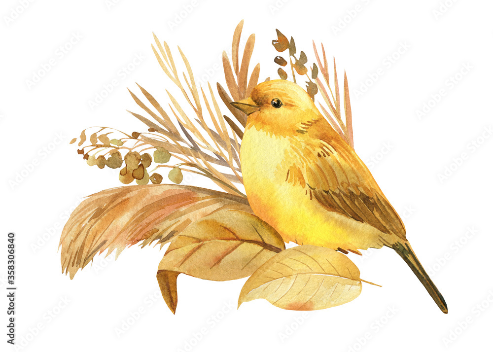 Yellow Canary Drawing