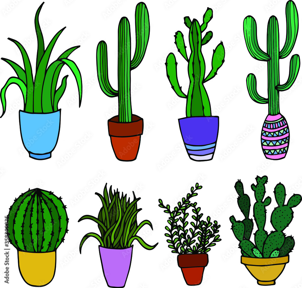 Vector Illustration Hand Drawn Doodle Cactus Succulents Cartoon clip ...