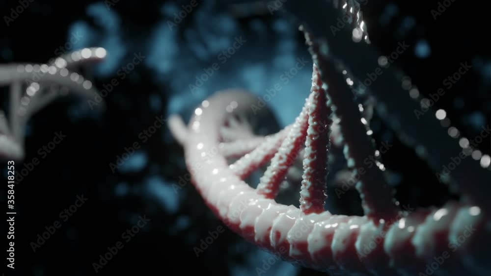 Microscopic close-up model of DNA molecule shape, on black and blue ...