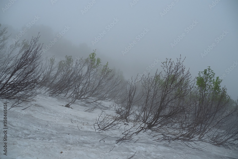A foggy day in the mountains. Snow on the slopes of the mountains ...