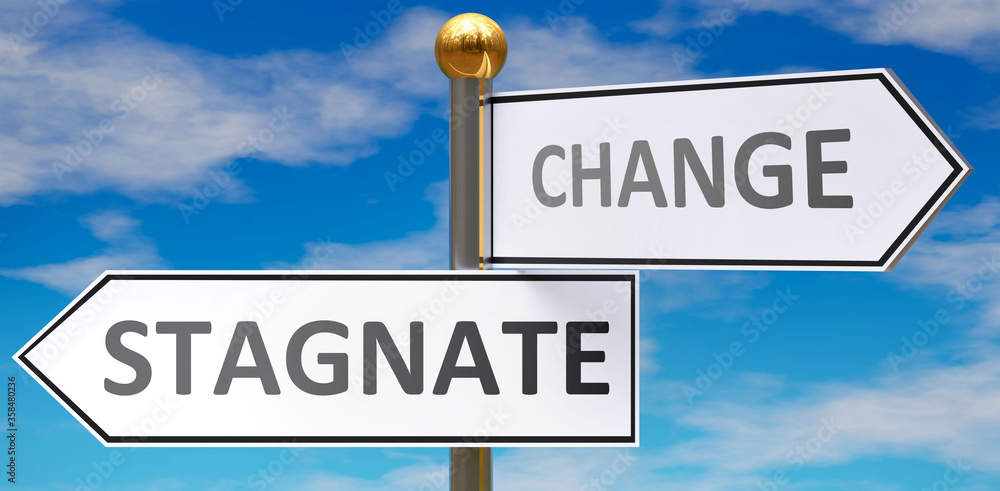 Stagnate and change as different choices in life - pictured as words ...