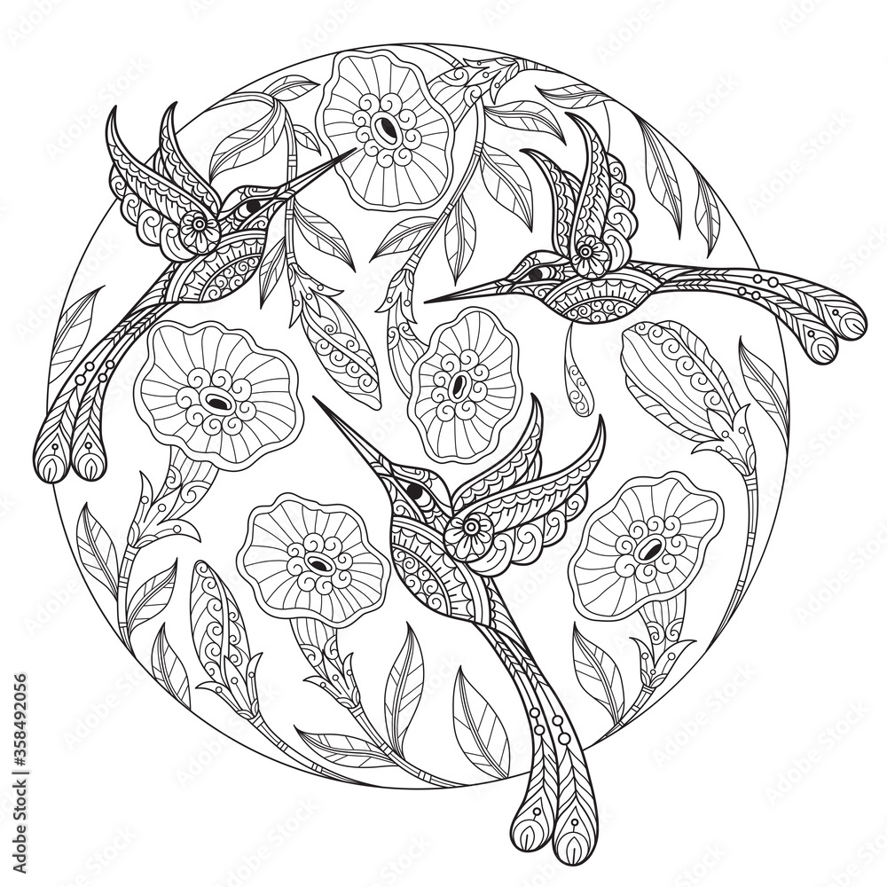Vetor de Hummingbird. Hand drawn sketch illustration for adult coloring book do Stock | Adobe Stock