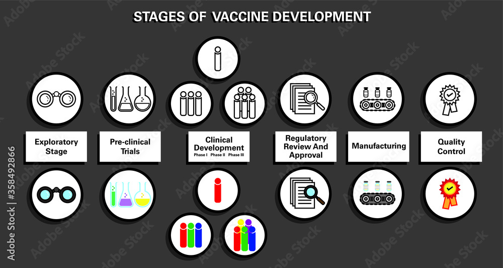 Stages of Vaccine Development Infographic Stock Vector | Adobe Stock
