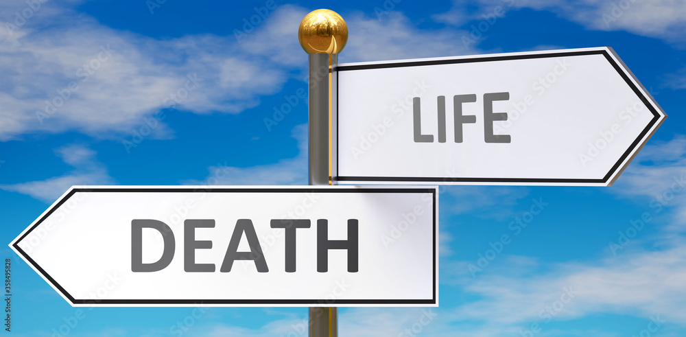 Death and life as different choices in life - pictured as words Death ...