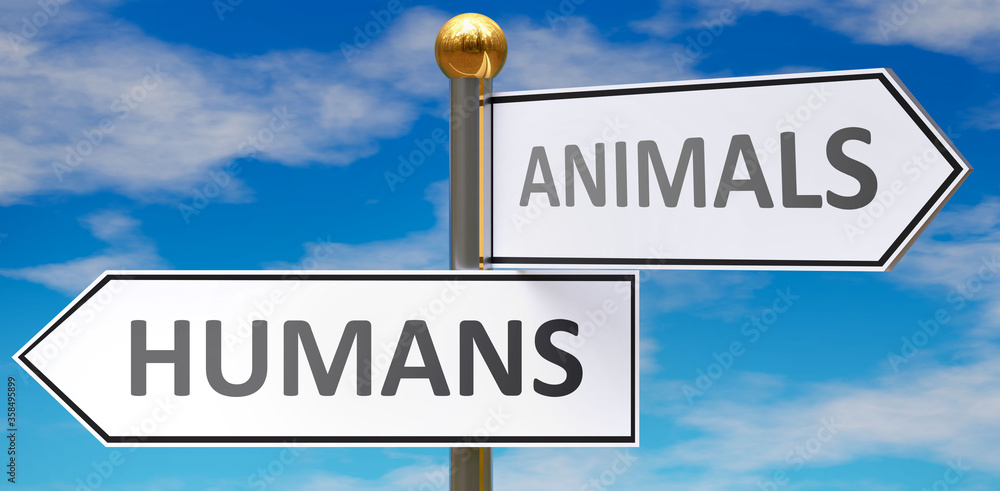Humans and animals as different choices in life - pictured as words ...
