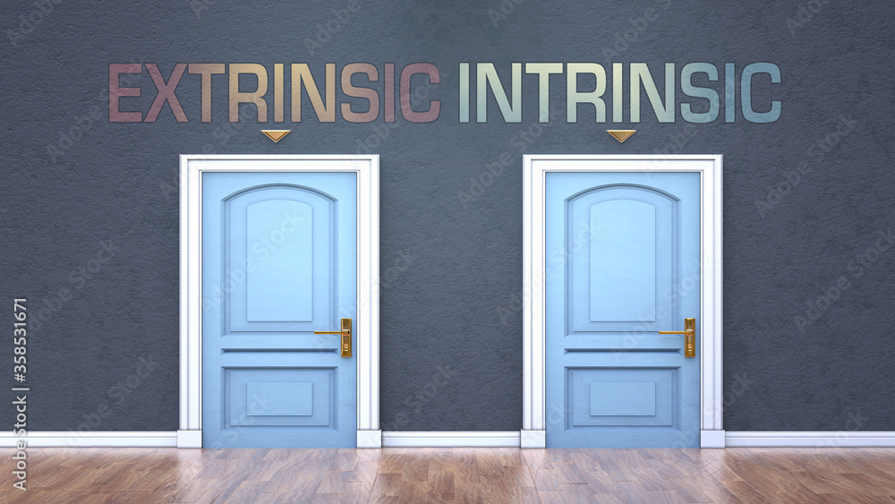 Extrinsic and intrinsic as a choice - pictured as words Extrinsic ...