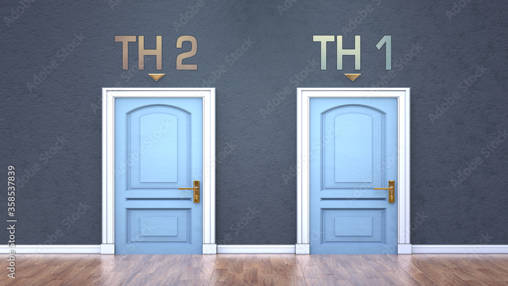 Th 2 and th 1 as a choice - pictured as words Th 2, th 1 on doors to ...