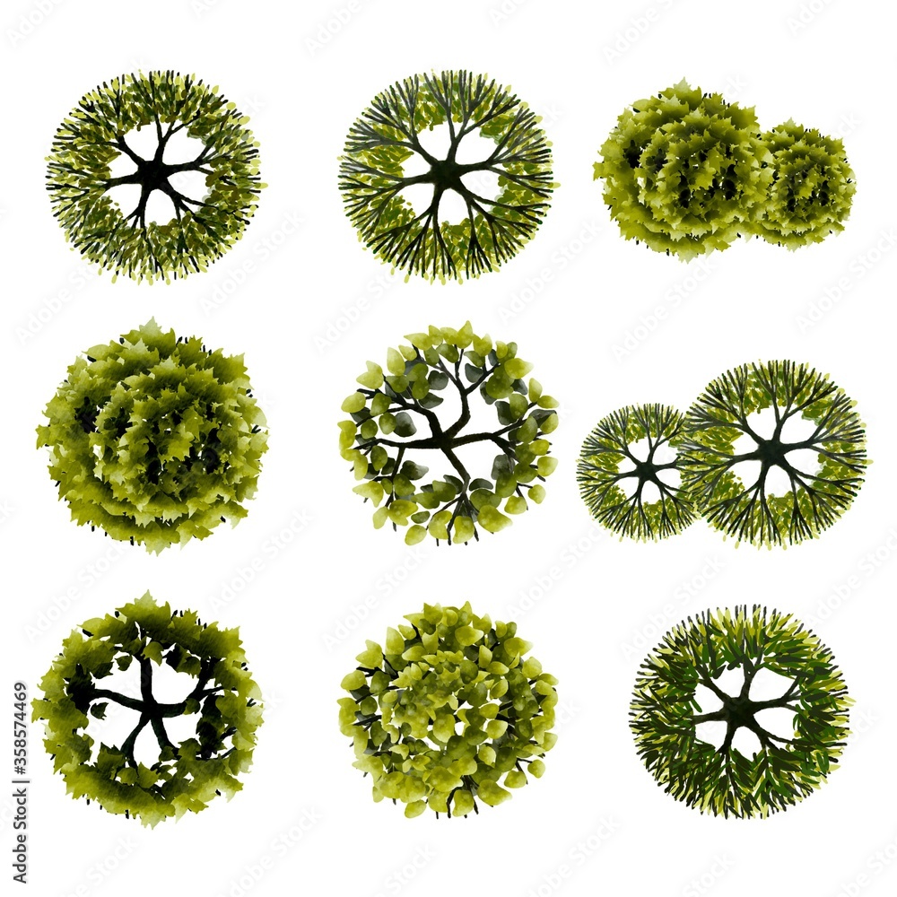 Set of watercolor tree top view for landscape plan and architecture ...