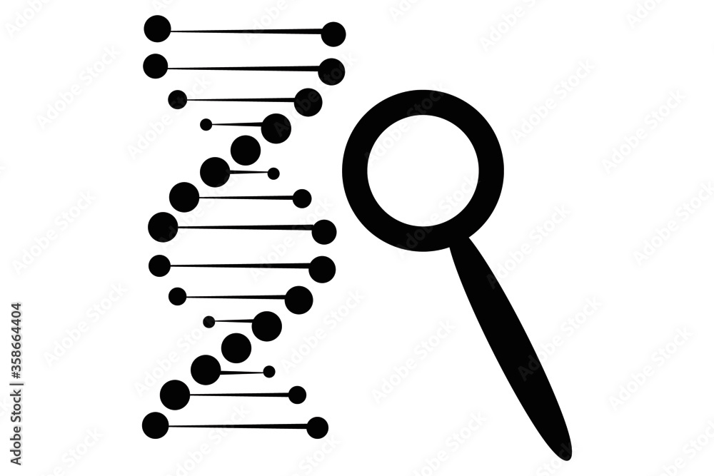 DNA analysis icon, genetics testing. dna chain in magnifying glass sign ...
