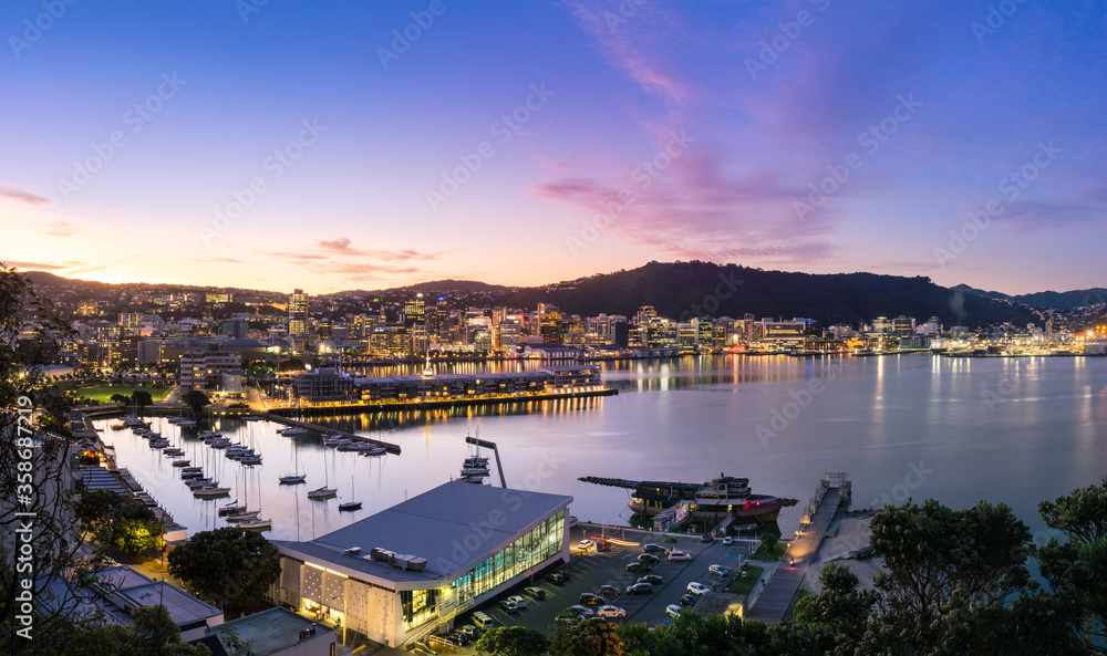 Wellington, New Zealand. Central city buildings and harbour viewed from ...