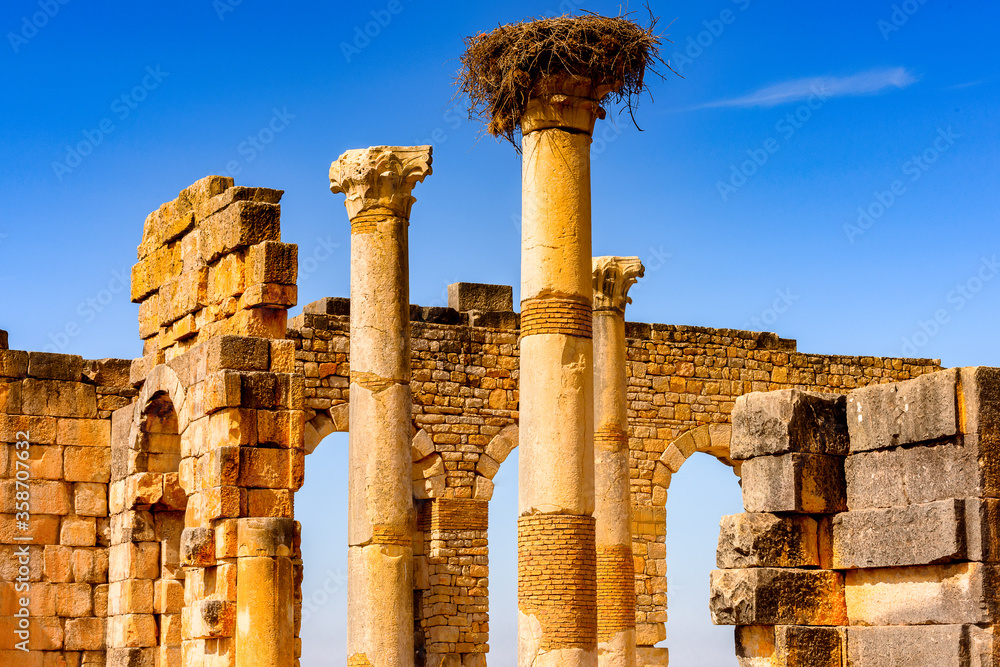 It's Temple of Volubilis, an excavated Berber and Roman city in Morocco ...