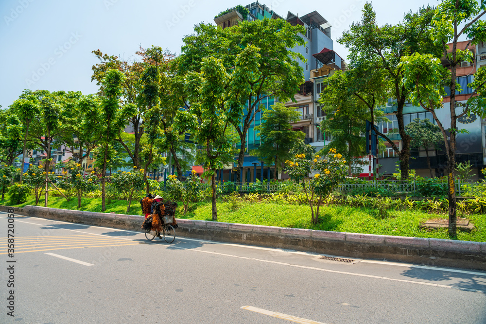 Hanoi street with green tree lines on Kim Ma street Stock Photo | Adobe ...