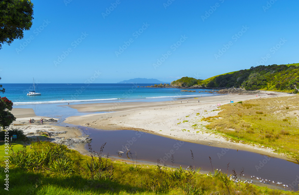 Panoramic View of Tawharanui Beach and Regional Park, Auckland New ...