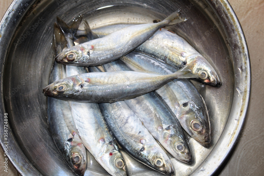 Raw mackerel fish on display. Pelagic fish. Seafood. Stock Photo ...