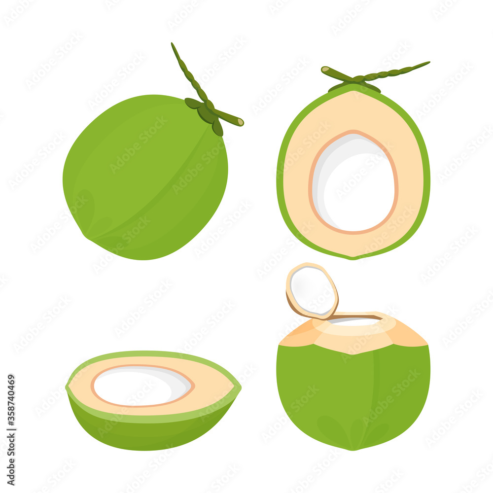coconut fresh young isolated on white background, illustration coconut ...
