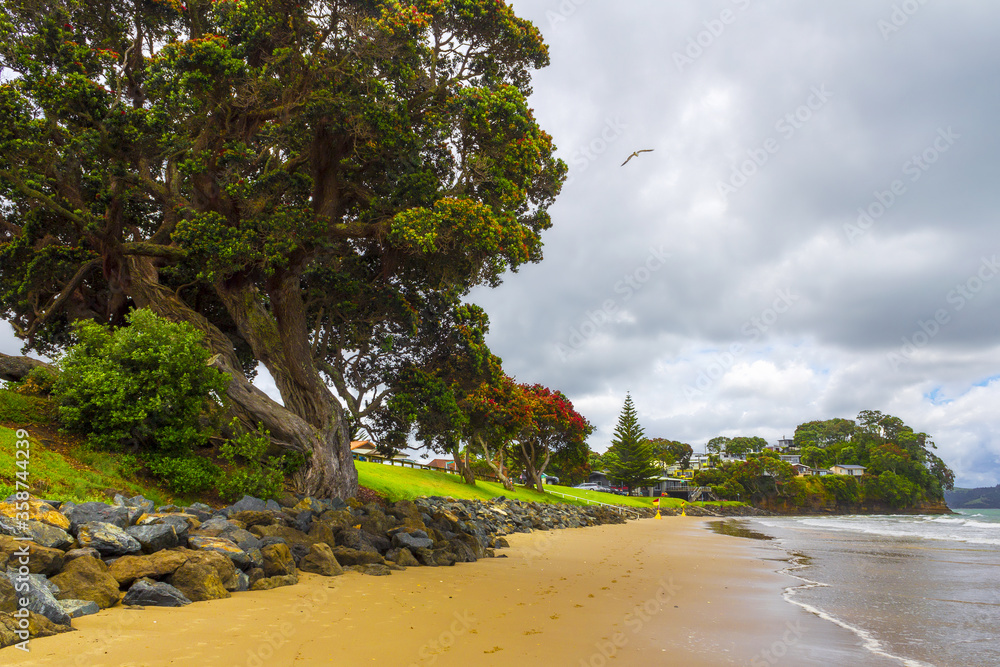 Panoramic View of Red Beach, Hibiscus Coast Auckland New Zealand ...