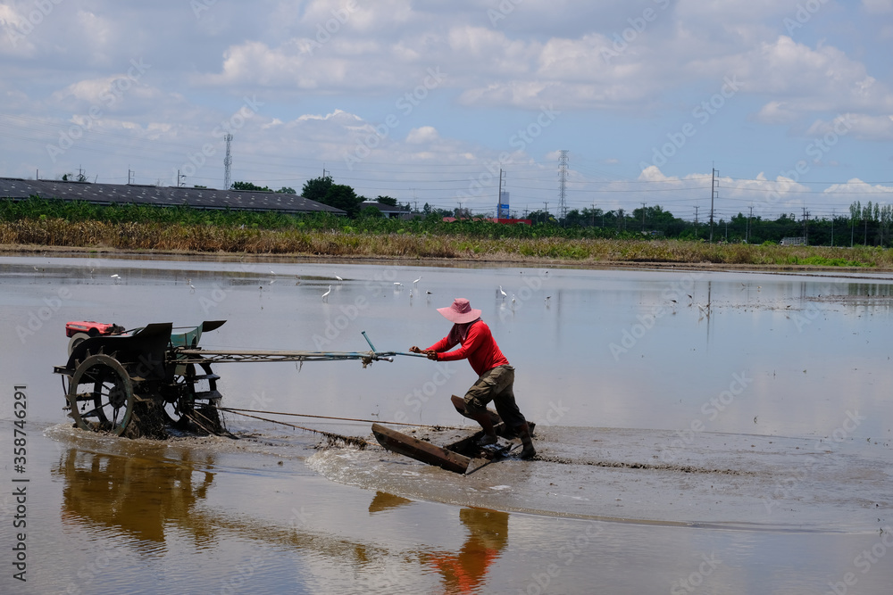 Thai farmer using walking tractor to cultivate soil for rice field ...