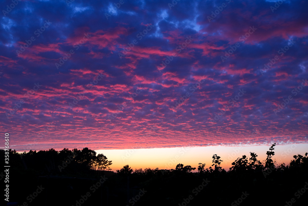 Cloudy sunset sky over a field and unusual altocumulus clouds with blue ...