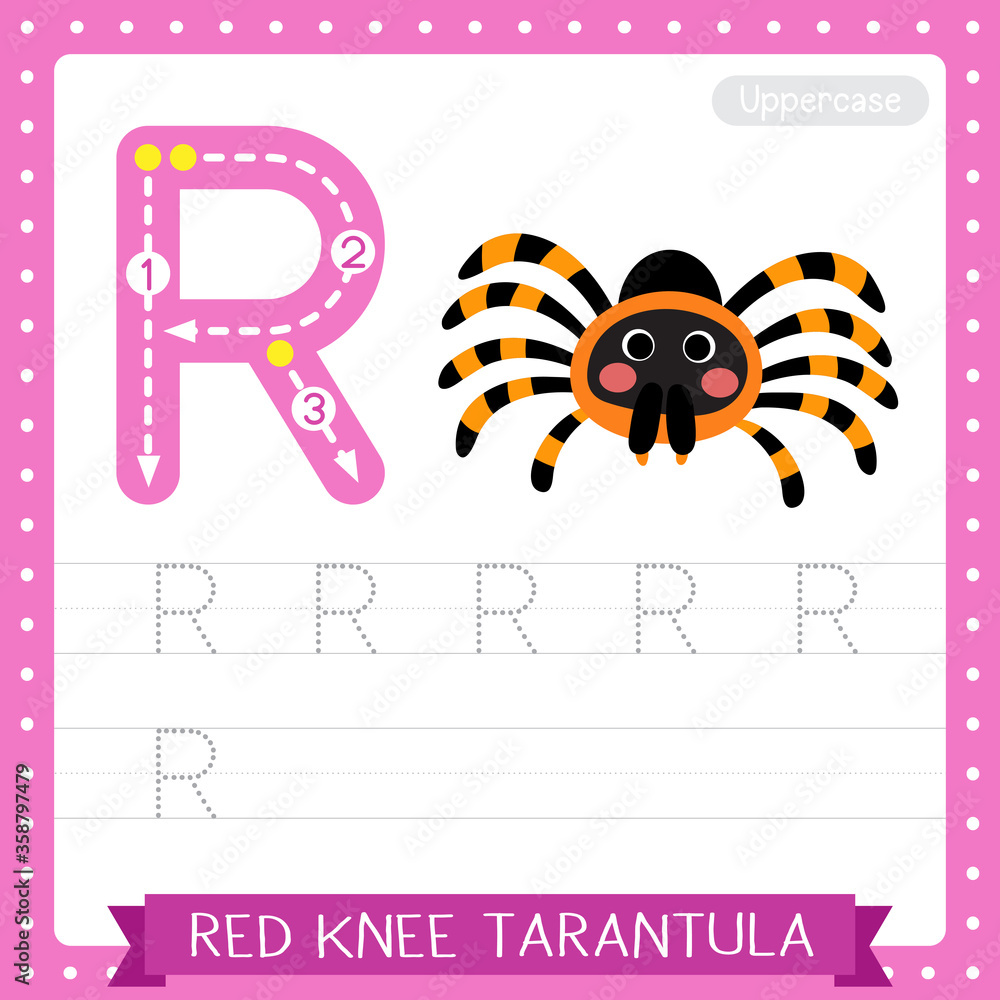 Letter R uppercase tracing practice worksheet of Red Knee Tarantula ...