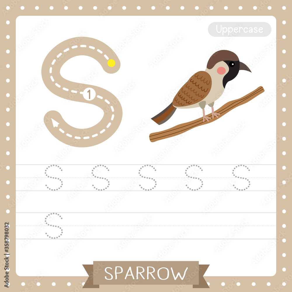 Letter S uppercase tracing practice worksheet of Sparrow bird Stock Vector | Adobe Stock