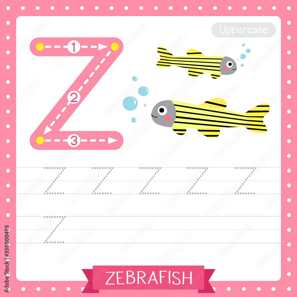 Letter Z uppercase tracing practice worksheet of Zebrafish Stock Vector ...