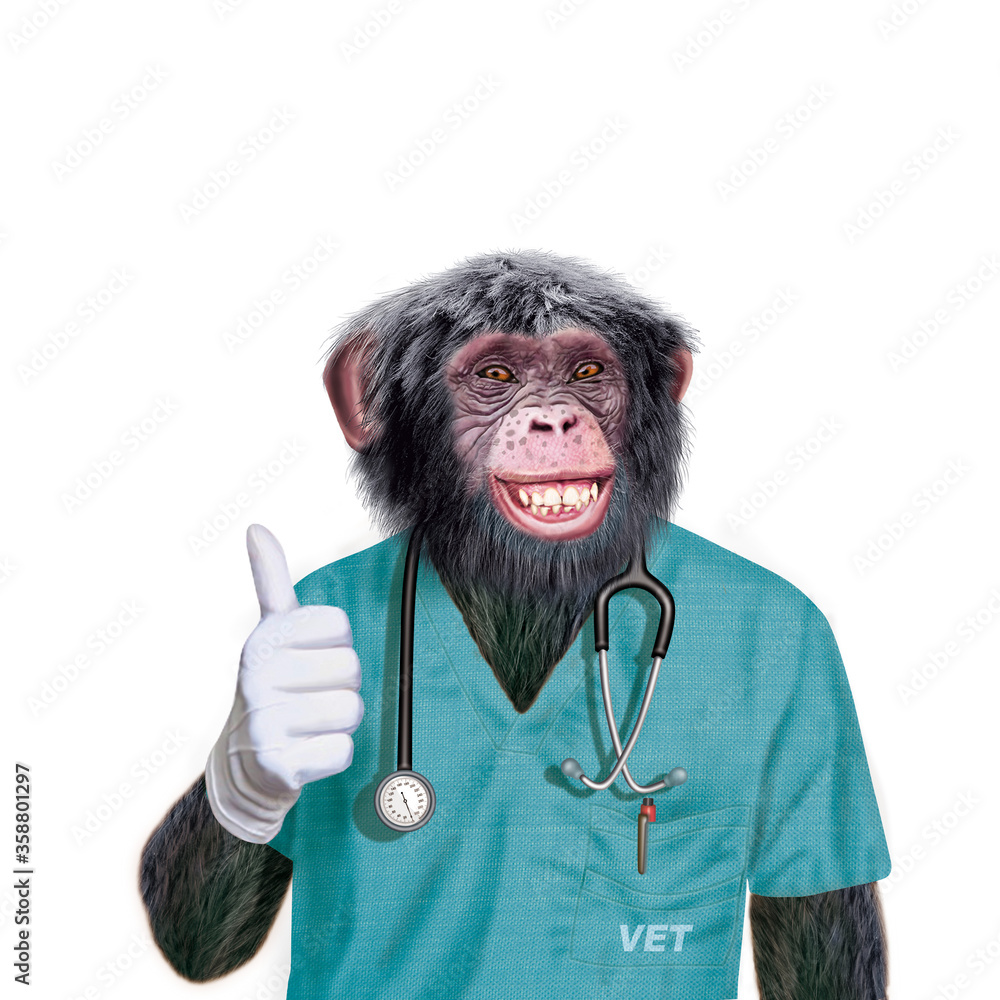 vétérinaire, vet, veto, chimpanzé, hybride, humain, animal, parc ...