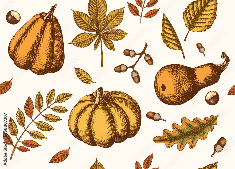 Autumn seamless pattern with Hand drawn colored leaves and pumpkins ...