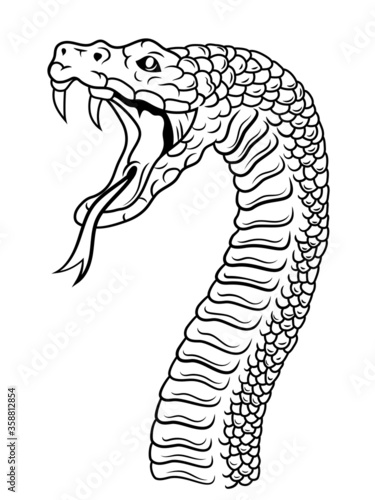 Snake Mouth Open Drawing