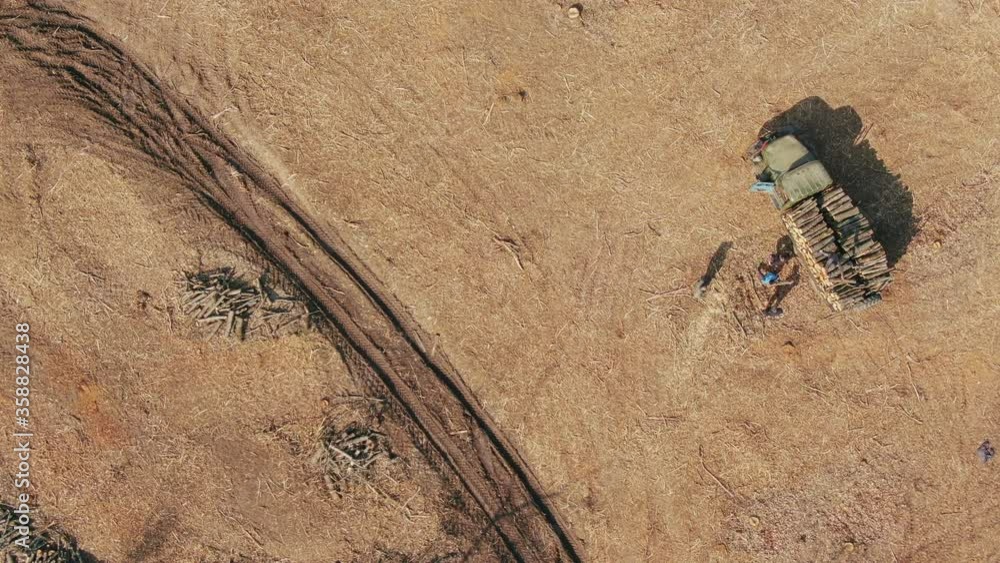 Aerial flying over a deforestation forest trees. Logging truck in the ...