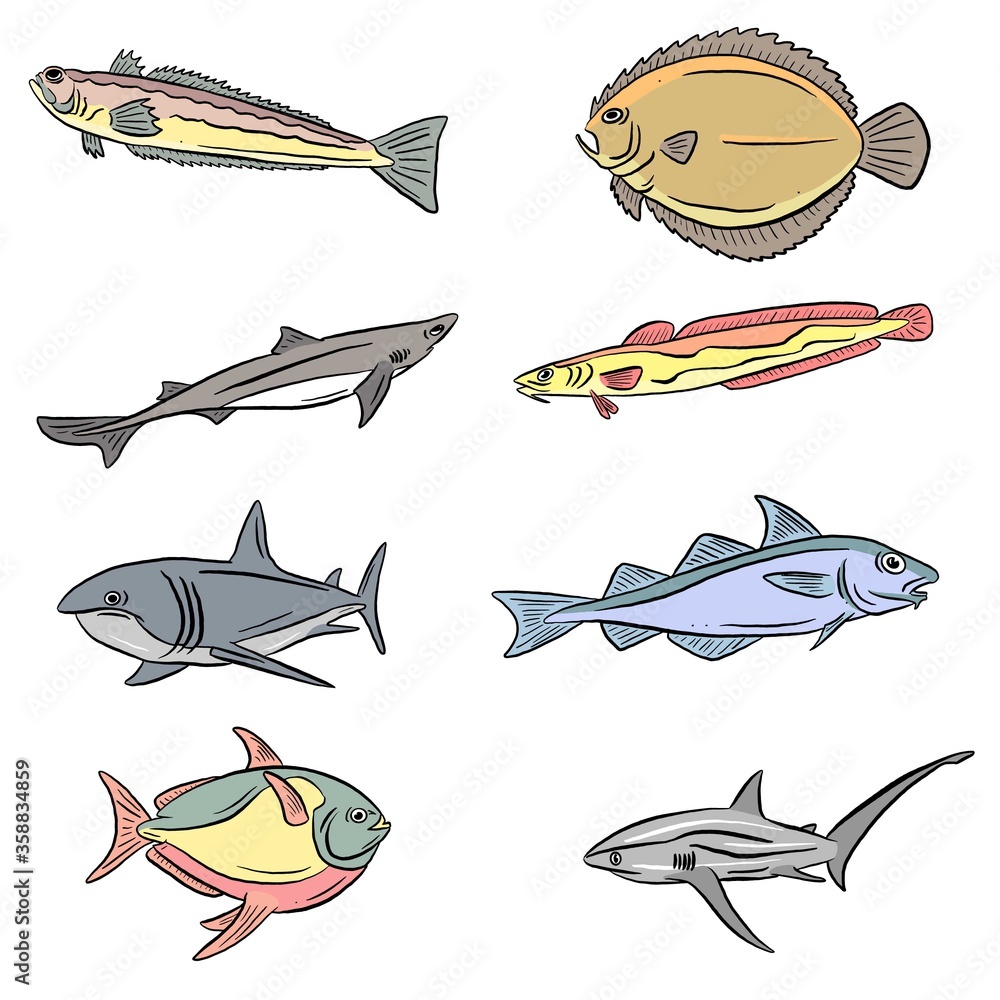 A Collection of Underwater Sea and Freshwater Fish Sharks and Eels ...