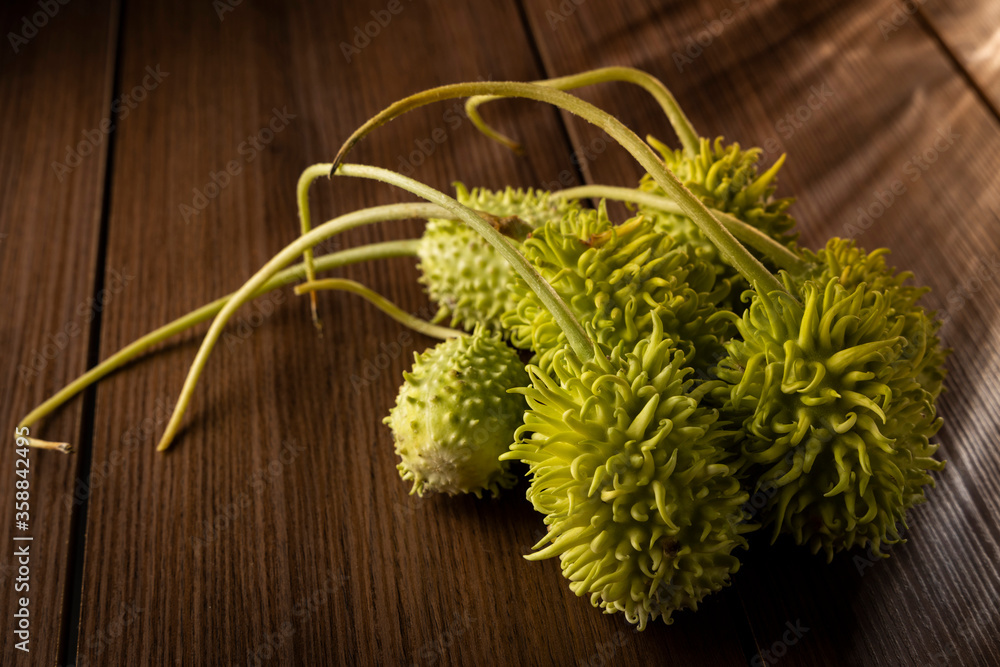 Brazilian gherkin, Maxixe, lit on a table. Stock Photo | Adobe Stock