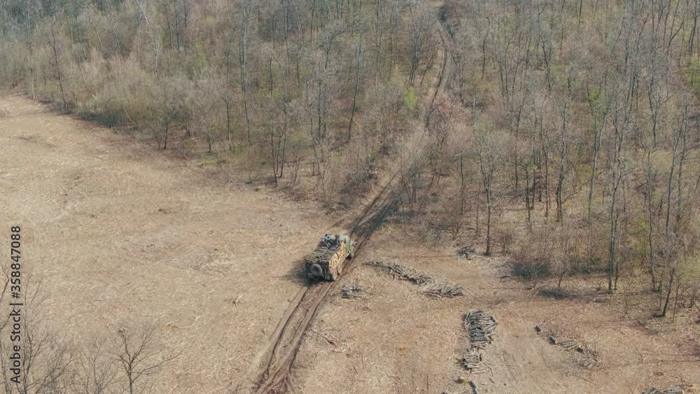 Aerial flying over a deforestation forest trees. Logging truck in the ...