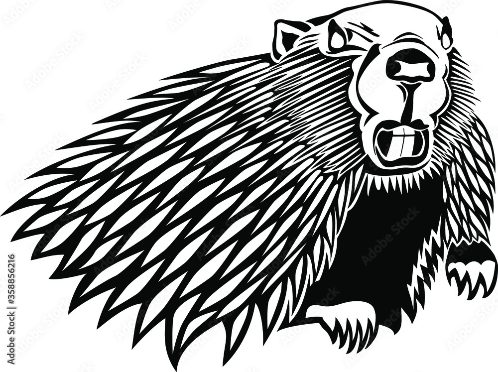 Vector illustration of a fierce beaver in black and white. Stylized ...