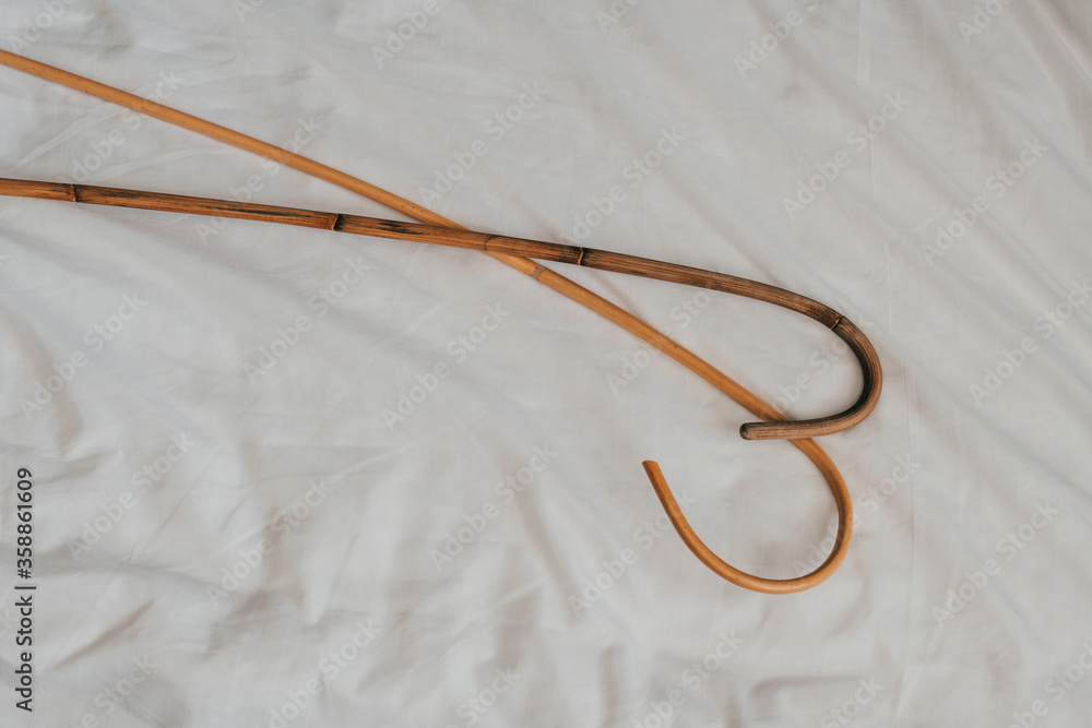 Rattan canes with crooked handle on white background. Dragon rattan ...