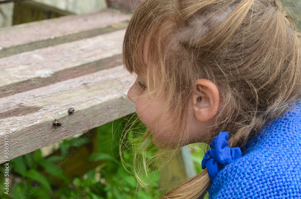Caucasian child plays with a bug in nature. Communication with wildlife ...