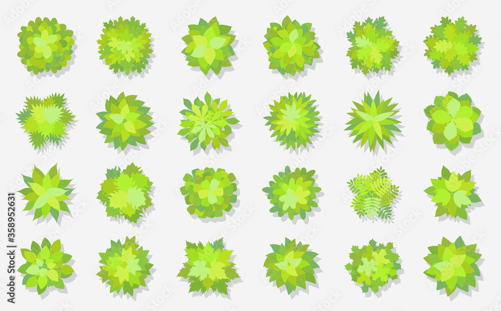 Trees top view. Different plants and trees vector set for architectural ...