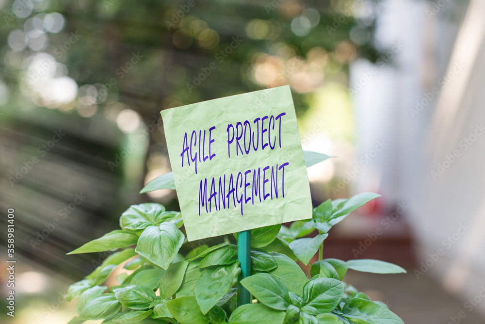Text sign showing Agile Project Management. Business photo text ...
