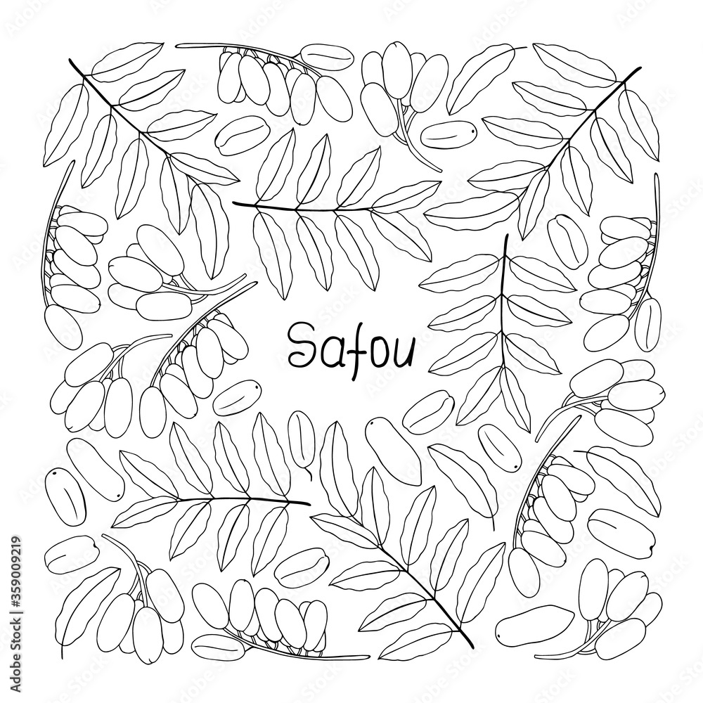 Safou lettering. Hand drawn poster. Coloring page. Stock vector ...